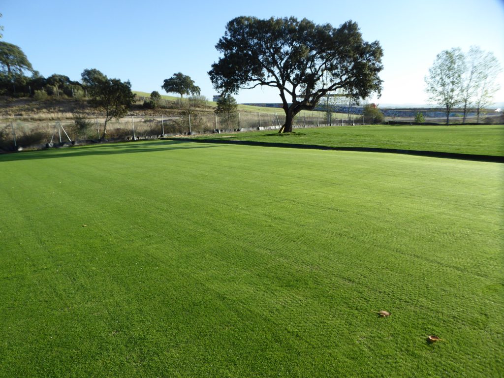 Garden & Golf | VIVERO EN LA RSHECC REALIZADO POR GARDEN & GOLF